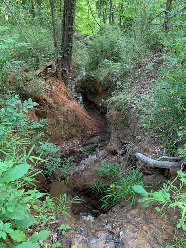 Gallery | Tarrant Ranch